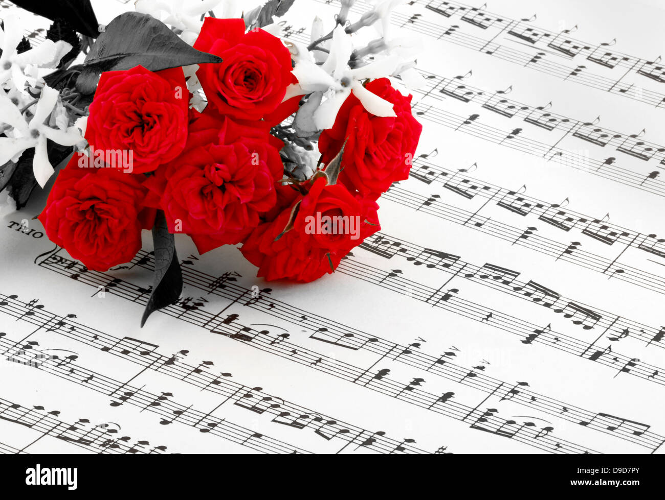 Vintage pentagram and red rose Stock Photo - Alamy