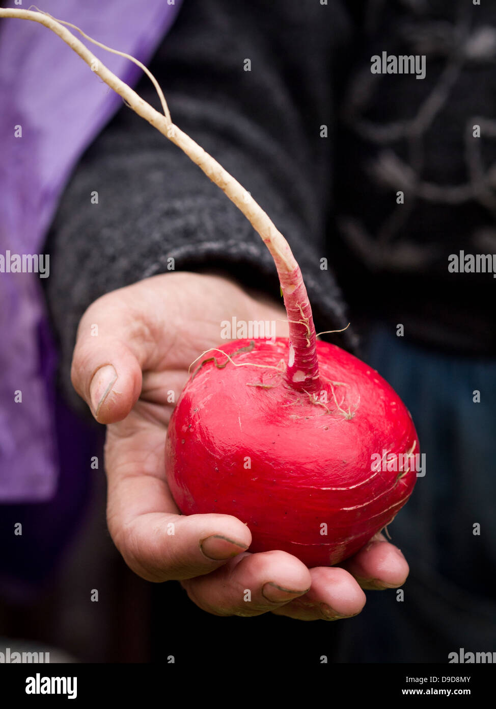 Vegetable vendor hi-res stock photography and images - Alamy