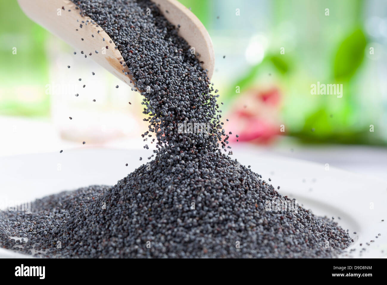 Blue poppy seeds pouring from wooden scoop, close up Stock Photo - Alamy