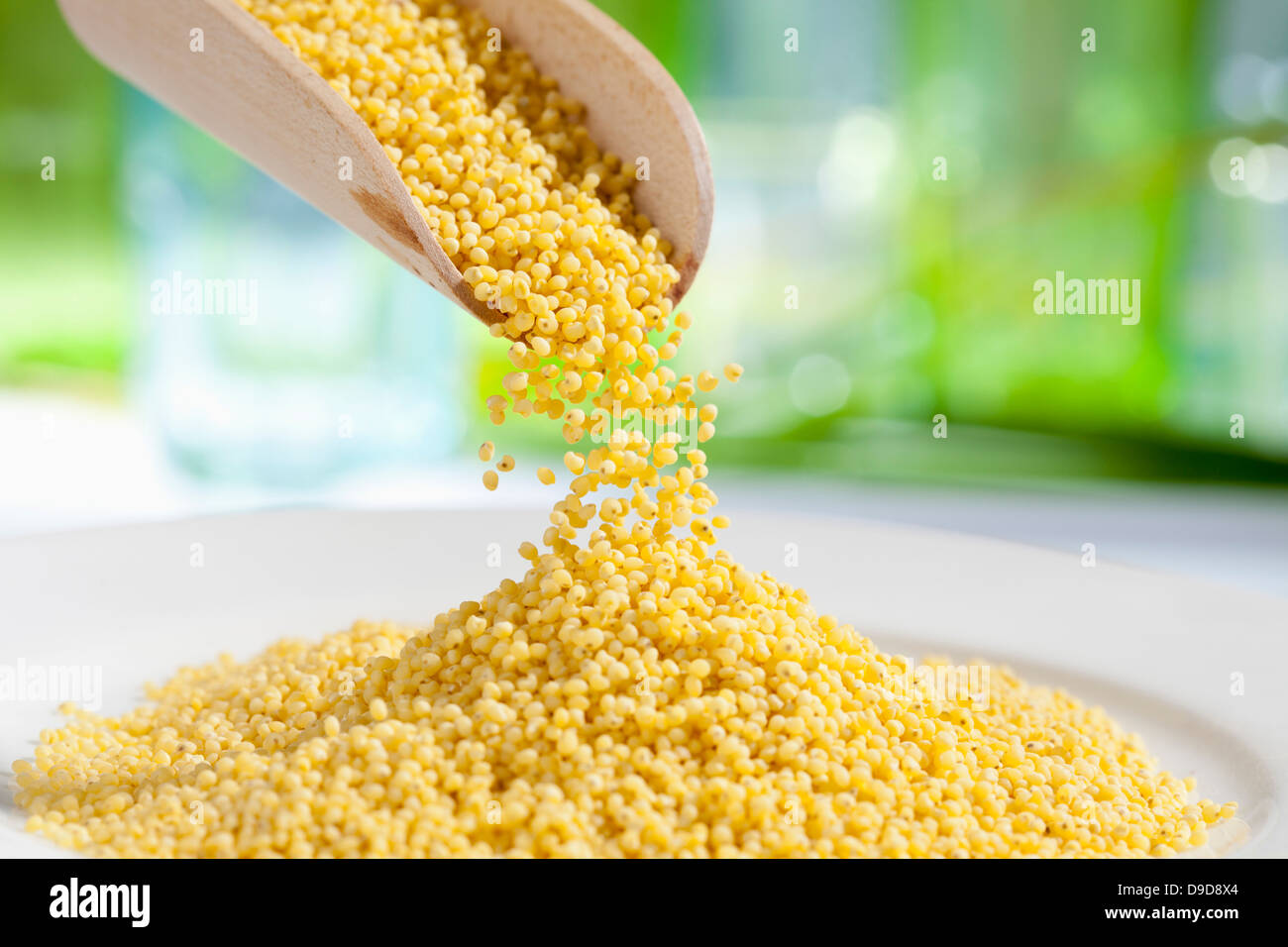 Millet seeds pouring from wooden scoop, close up Stock Photo - Alamy