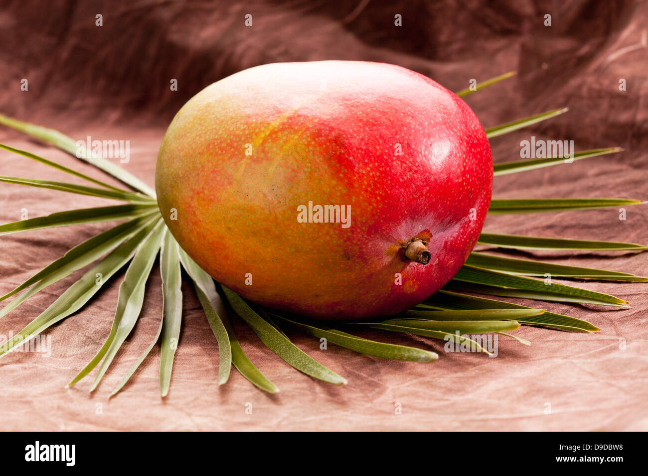 Mango on palm leaf , close up Stock Photo - Alamy