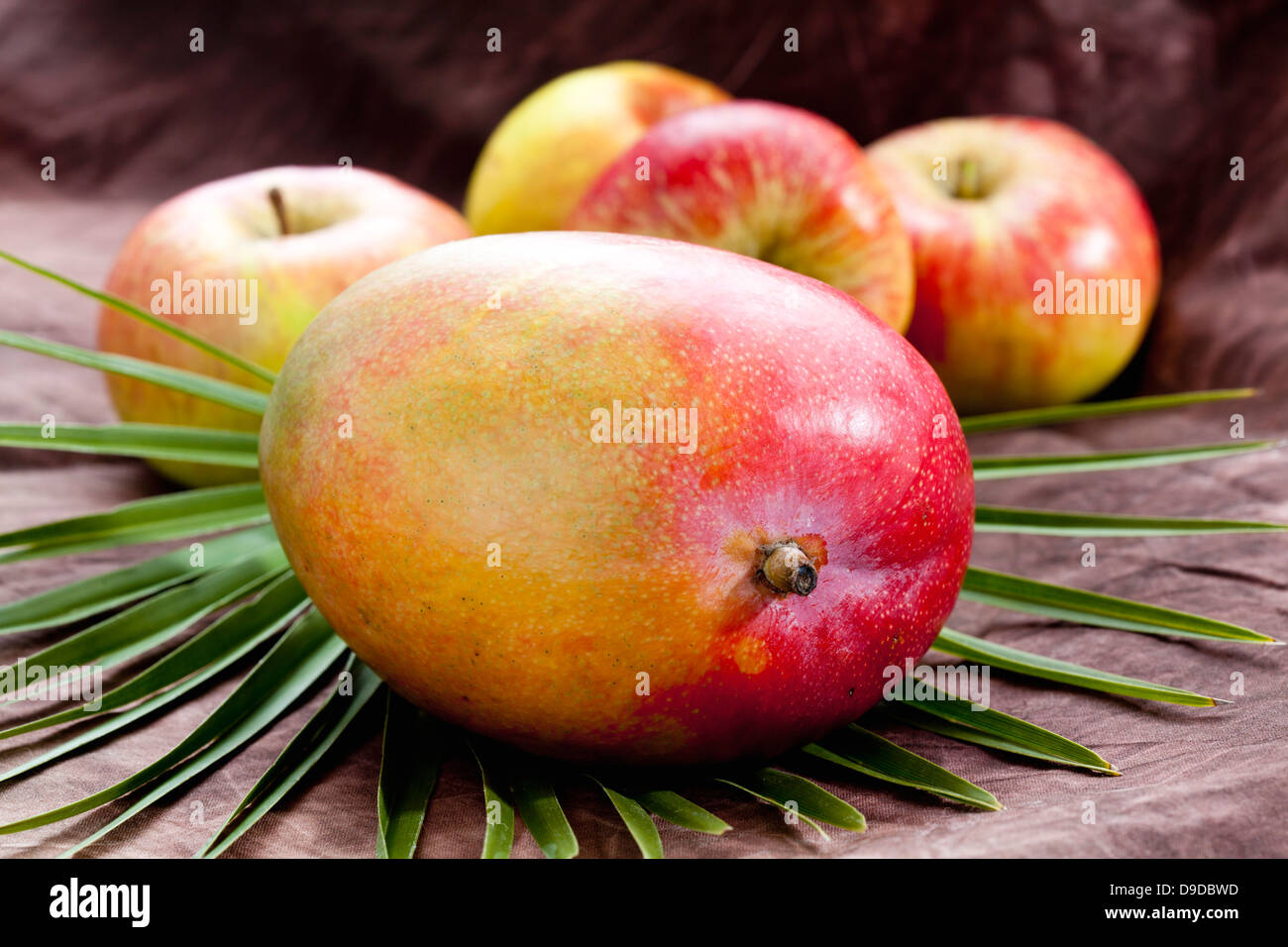 Mango and apples on palm leaf Stock Photo - Alamy