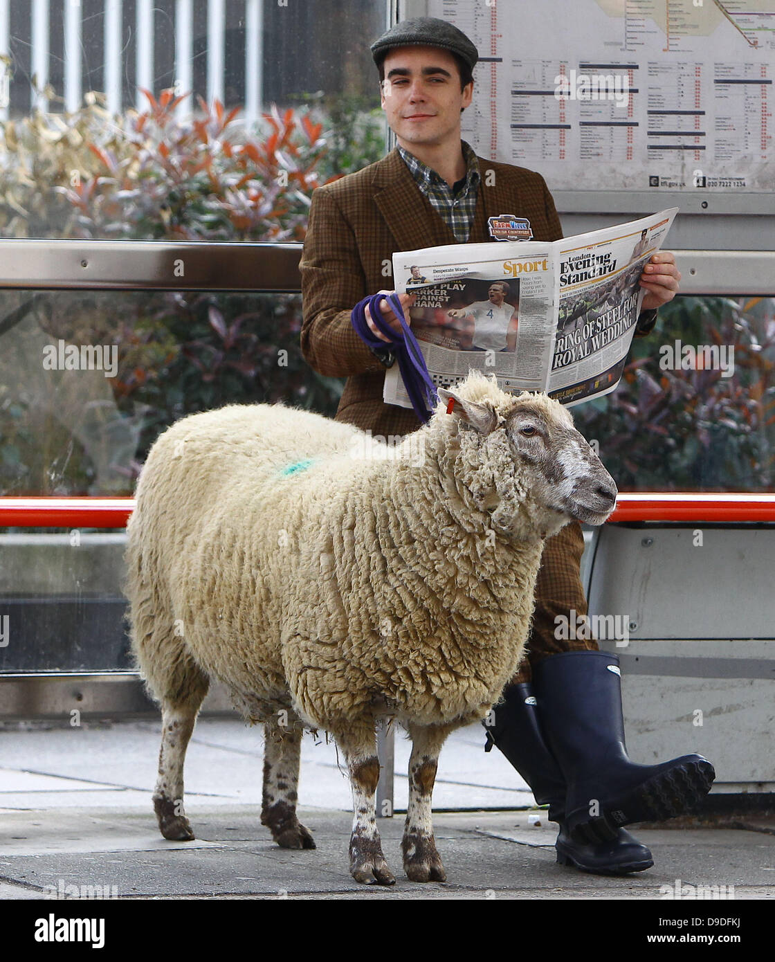 An actor dressed as an English country gentleman waits at a bus stop ...