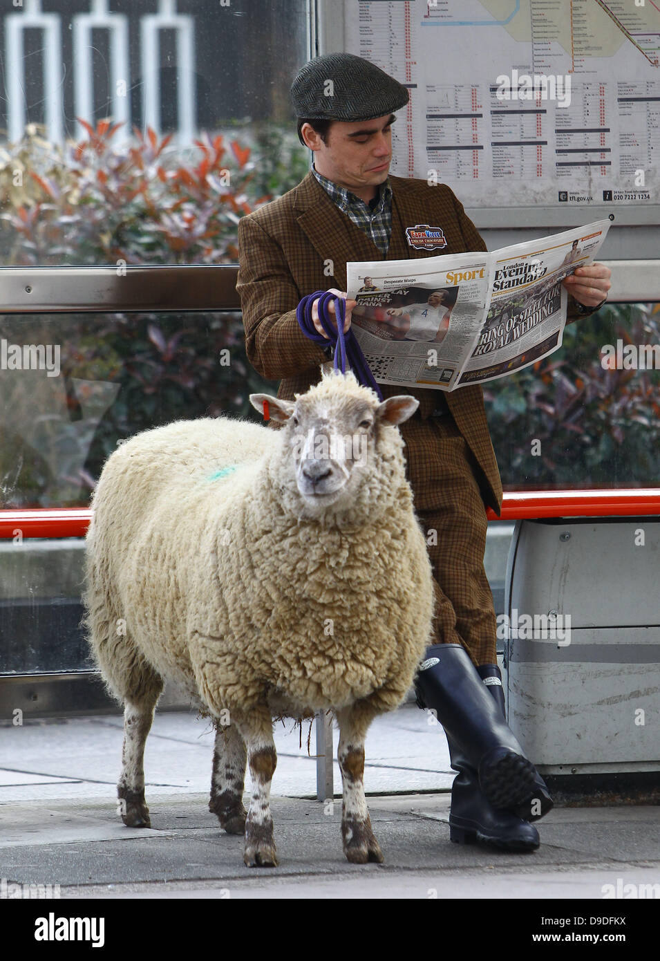 An actor dressed as an English country gentleman waits at a bus stop ...