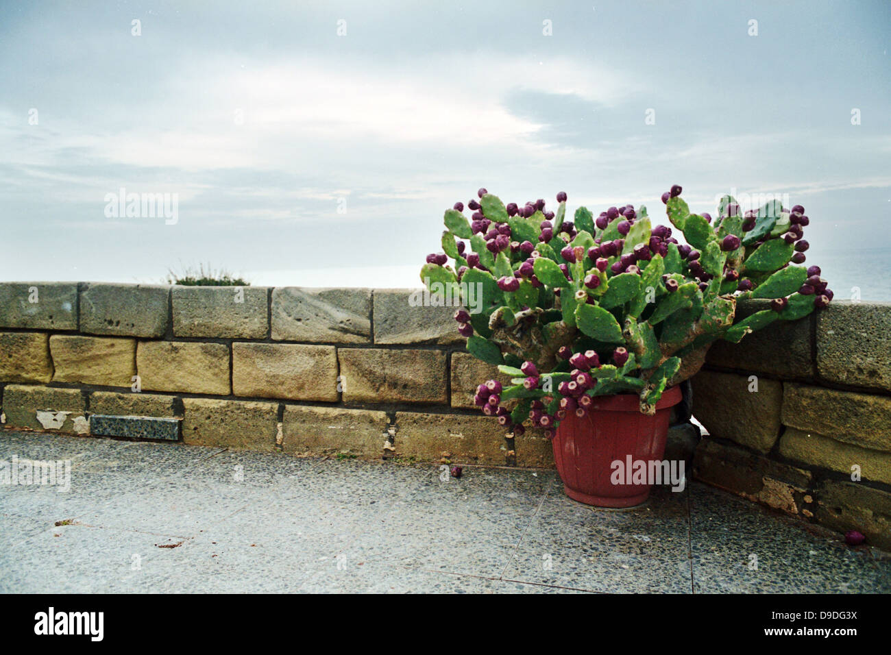 stone wall terrace Stock Photo - Alamy