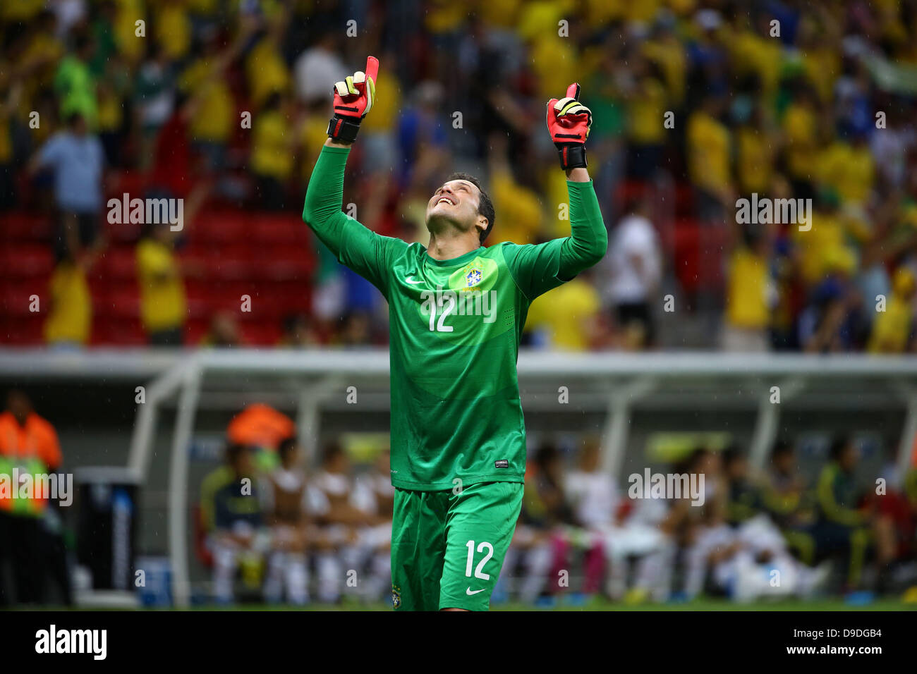 Julio Cesar (BRA), JUNE 15, 2013 - Football / Soccer : Julio Cesar of ...