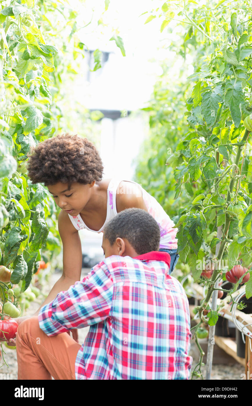 Black Girl Gardening High Resolution Stock Photography and Images - Alamy