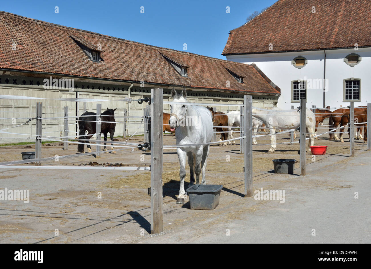 Courtyard with stables hi-res stock photography and images - Alamy