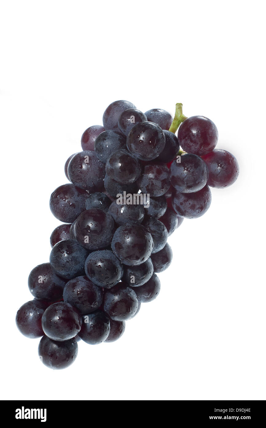 One grape hi-res stock photography and images - Alamy