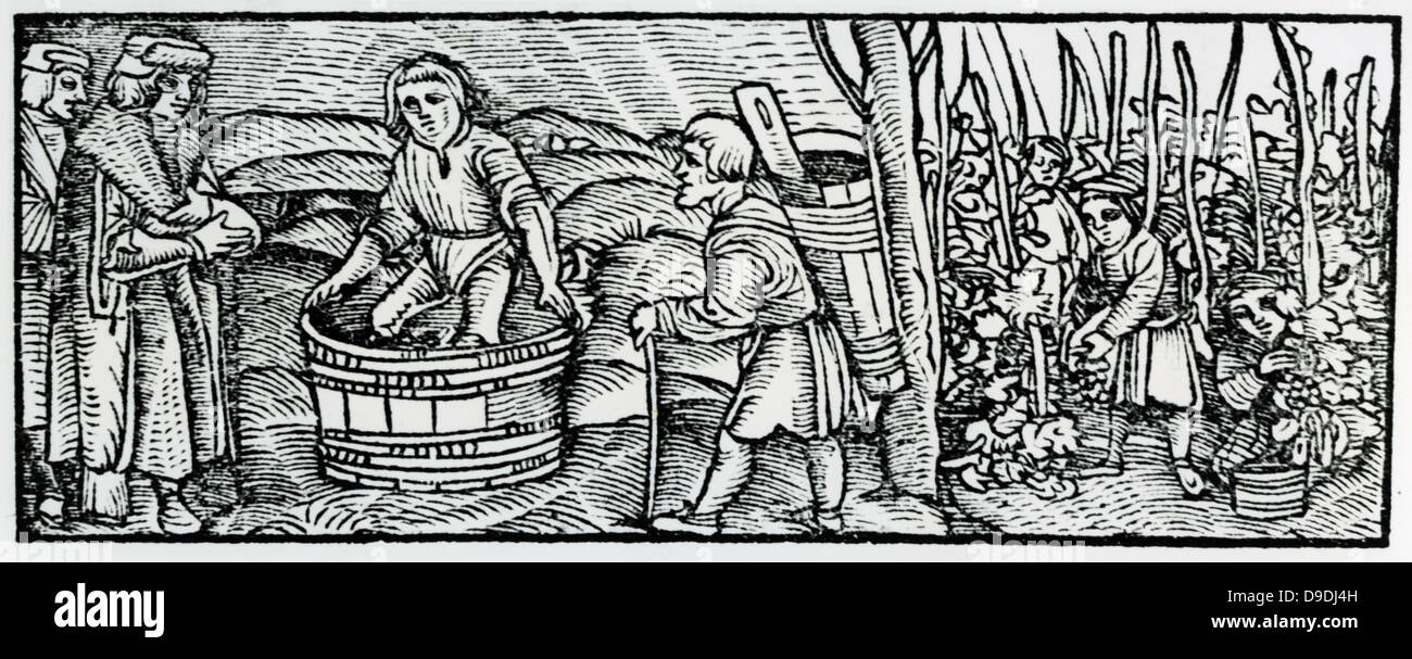 Ploughing with a wheeled plough. Woodcut from ''Calendarum Romanum ...
