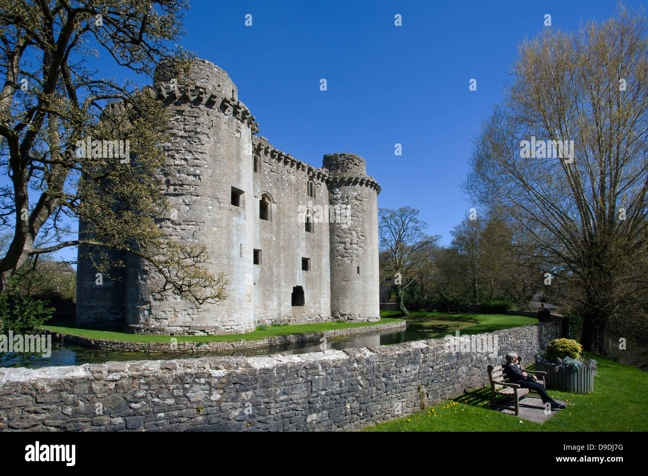 The ruins of Nunney Castle surrounded by its moat, built in the 1370s ...