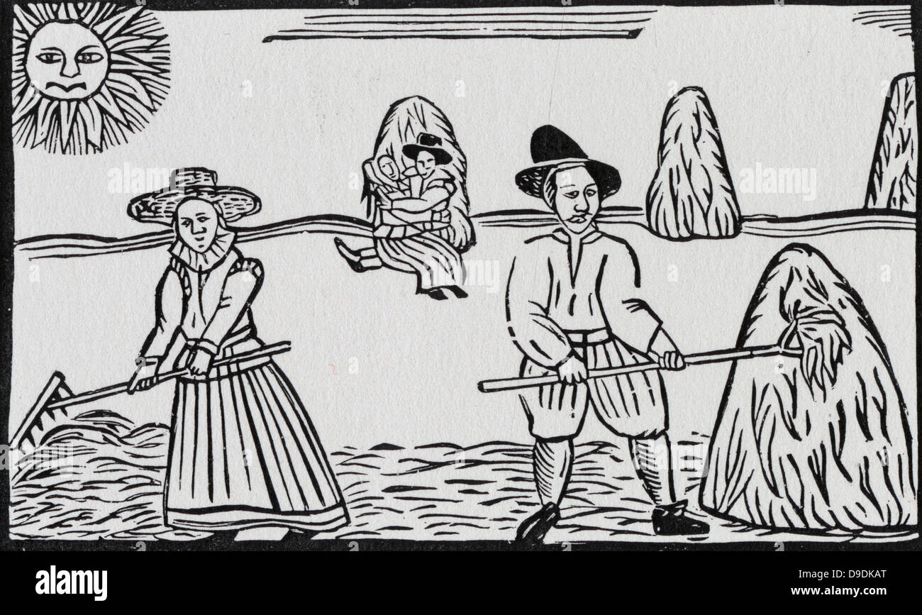 Early natural history hi-res stock photography and images - Alamy