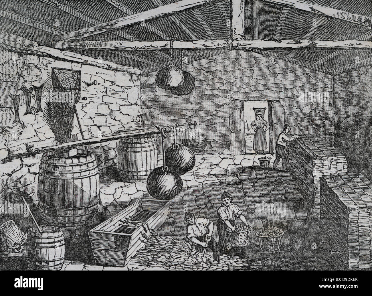 Curing pilchards,Cornwall, England, 1833 Stock Photo - Alamy