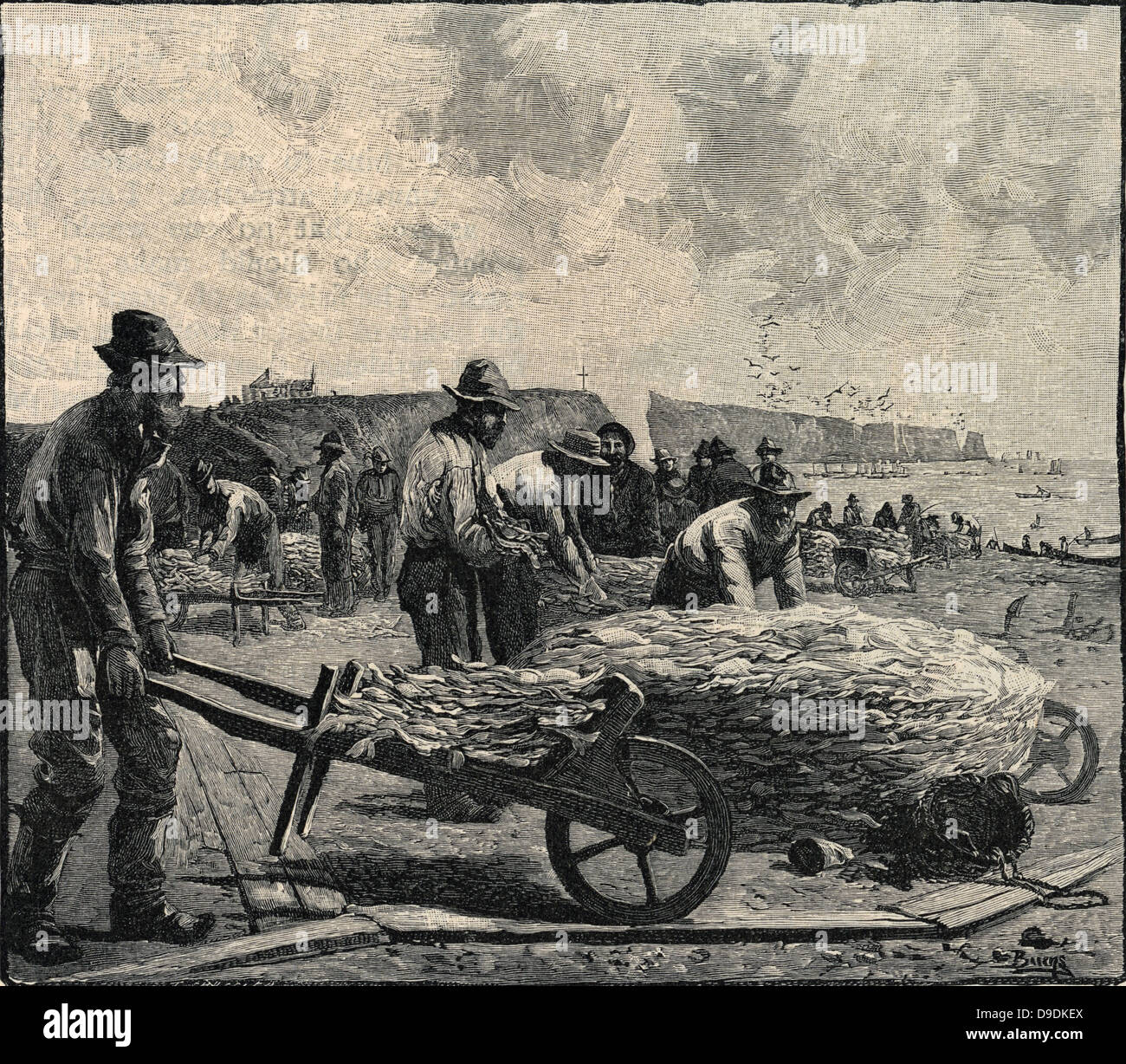 Historical cod fishing hi-res stock photography and images - Alamy