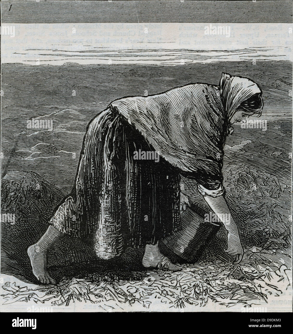 Ireland famine hi-res stock photography and images - Alamy