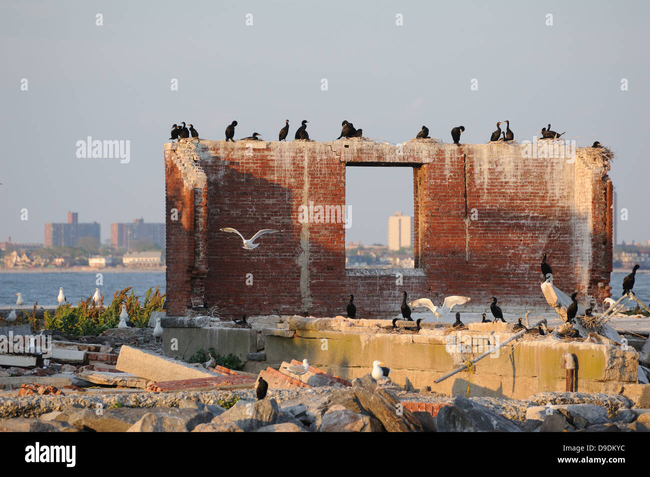 Man made island hi-res stock photography and images - Alamy