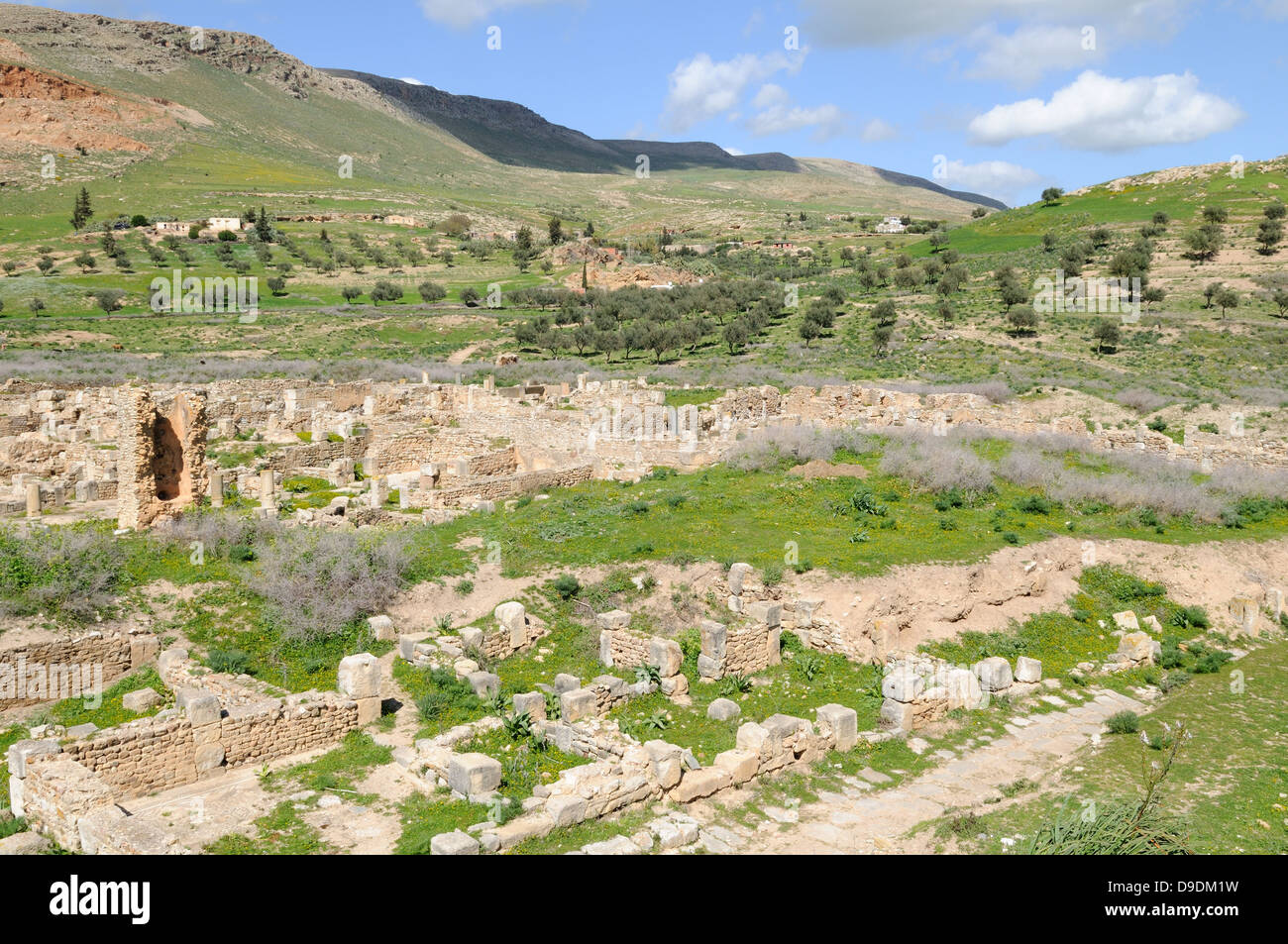 Ancient ruins of the Roman City of Bulla Regia in the tunisian ...