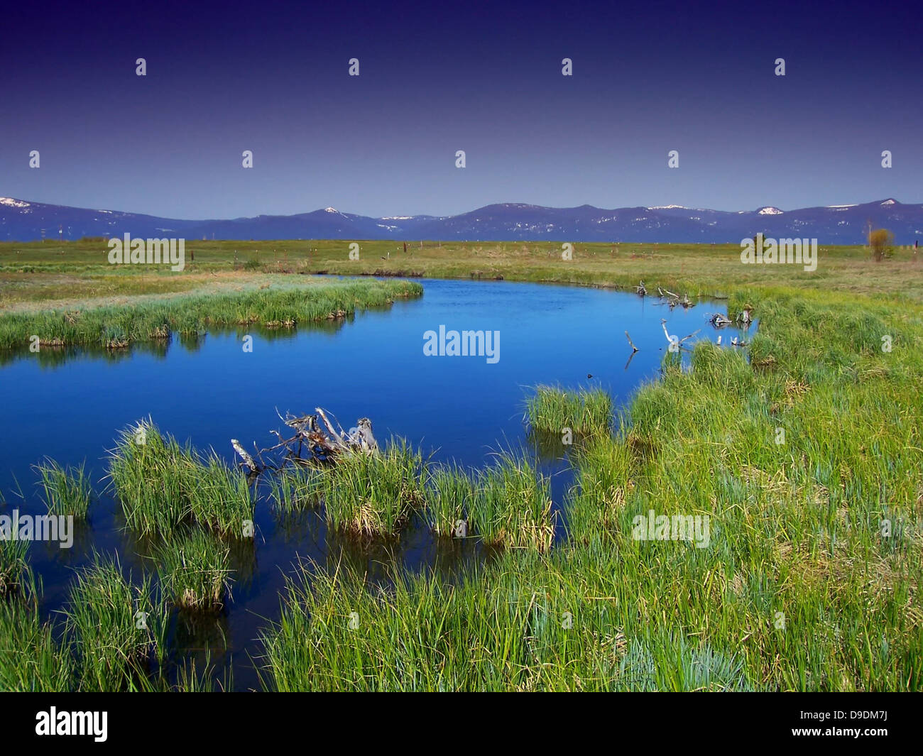 Landscape scenic wetlands marsh hi-res stock photography and images - Alamy