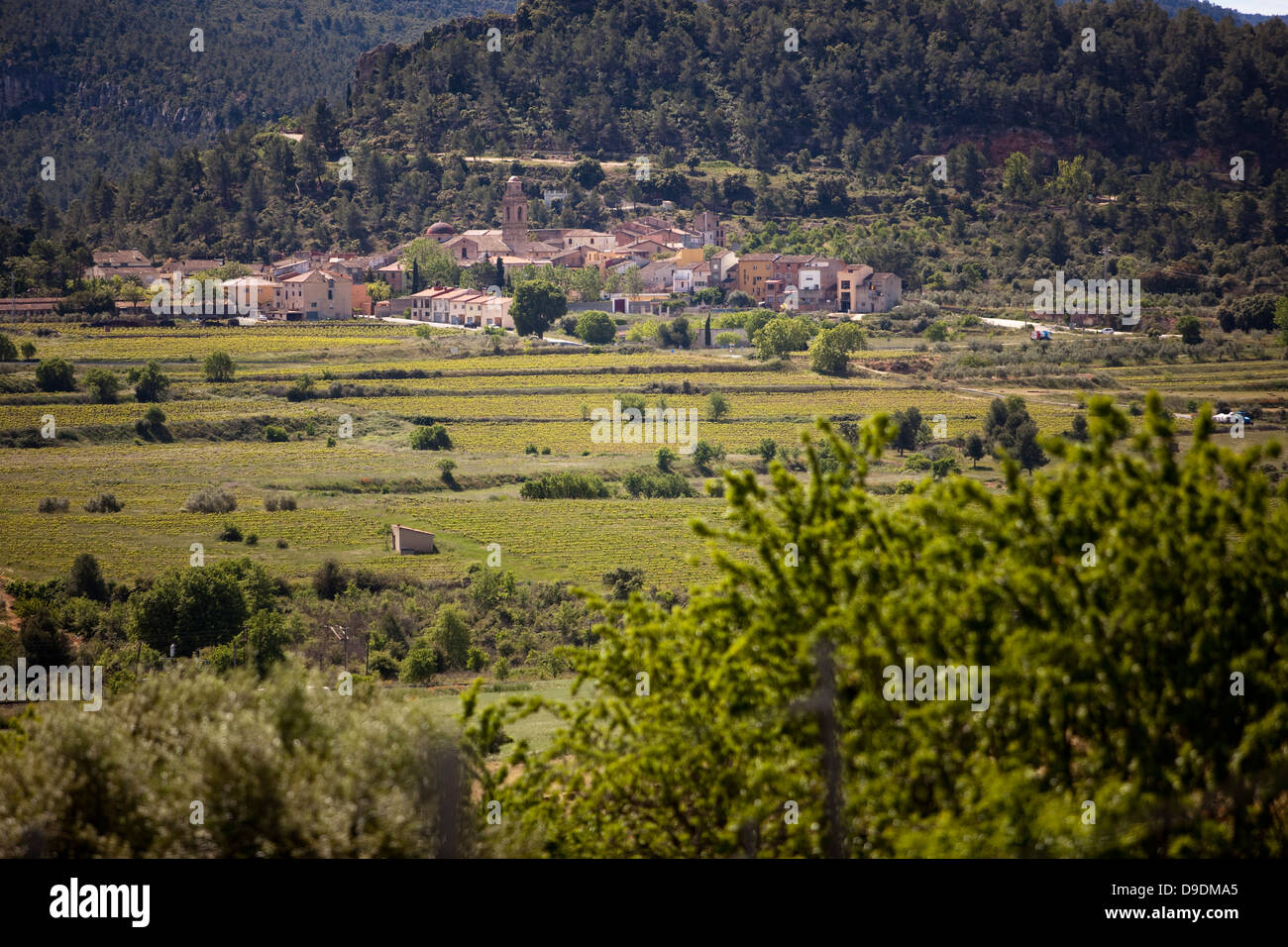 Priorat hi-res stock photography and images - Alamy