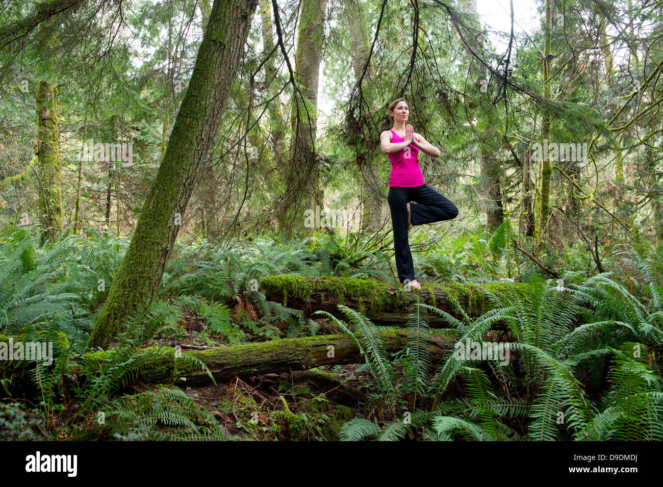 Mature woman performing tree pose in forest Stock Photo - Alamy