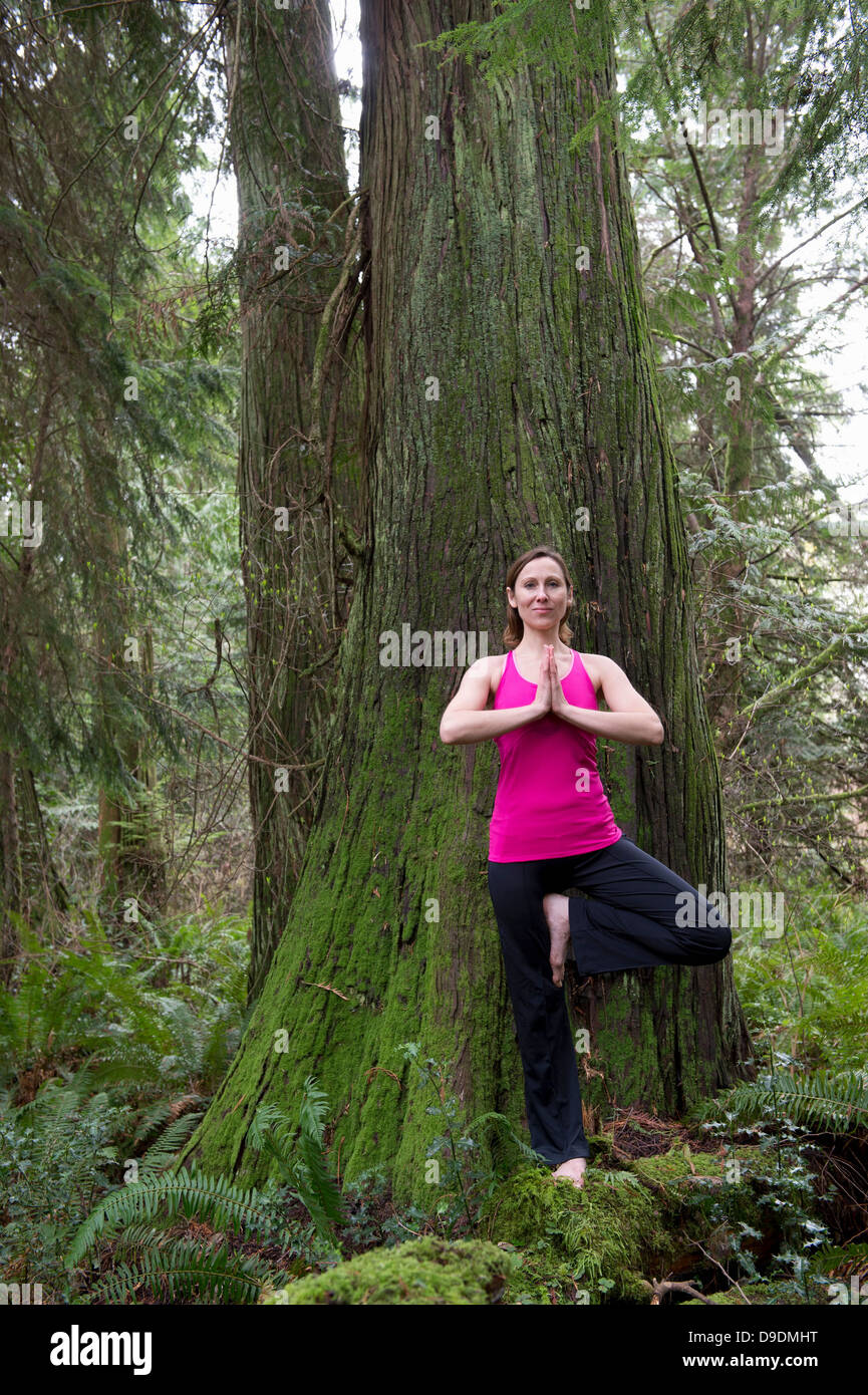 Harmony performing at hi-res stock photography and images - Alamy