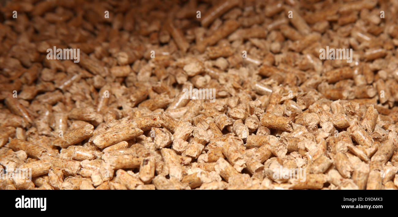 Forming timber hi-res stock photography and images - Alamy