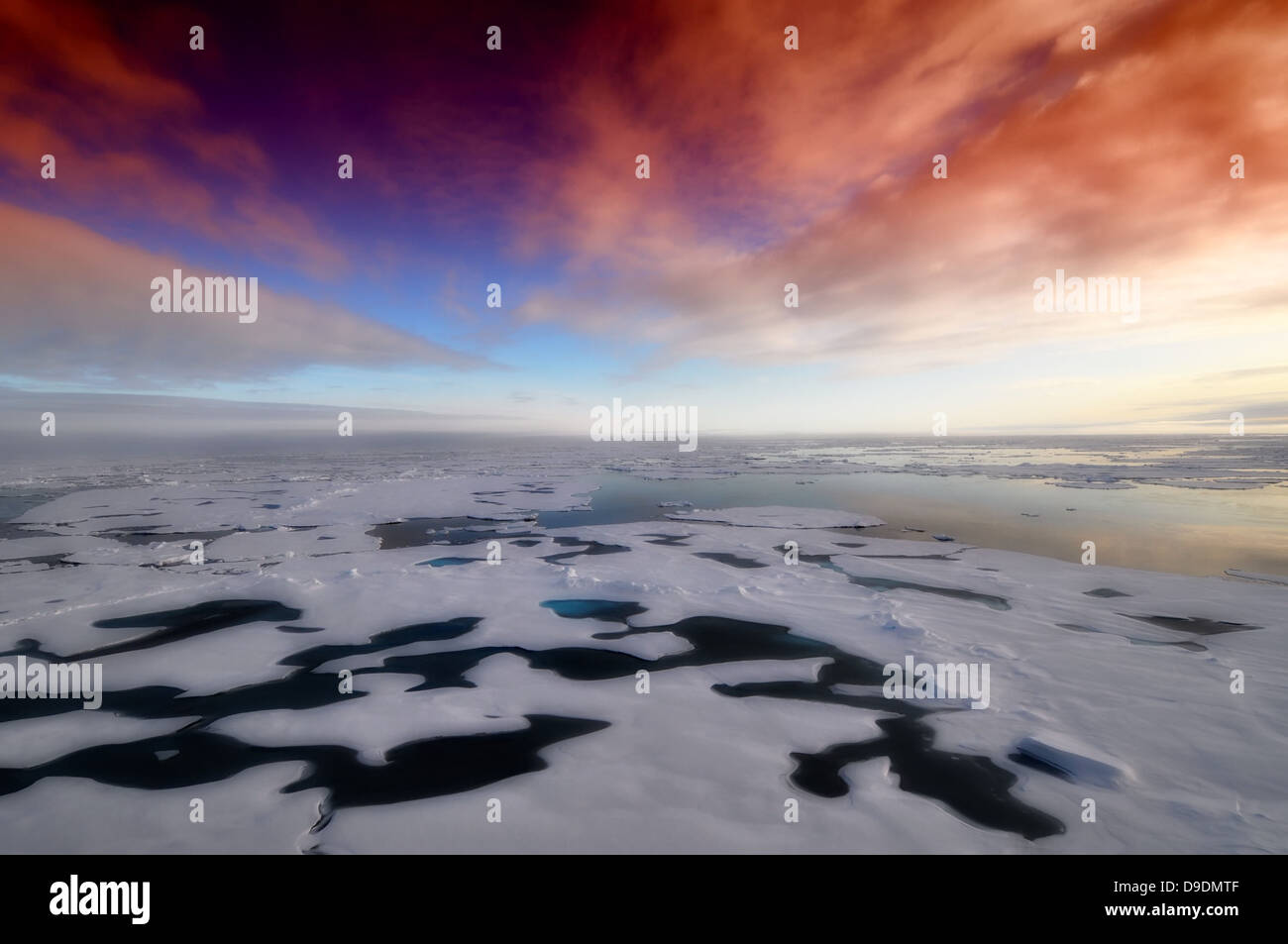 The Arctic Sea, located in the northern polar region, is characterized ...