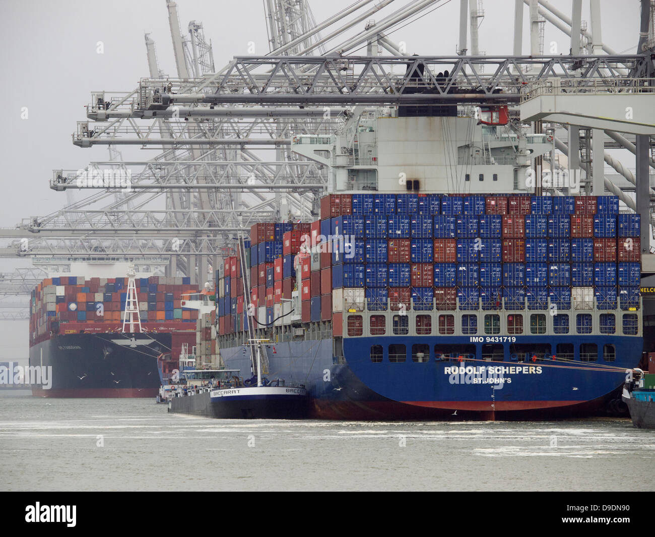 Large container carrier ships along the quay of a container terminal in ...