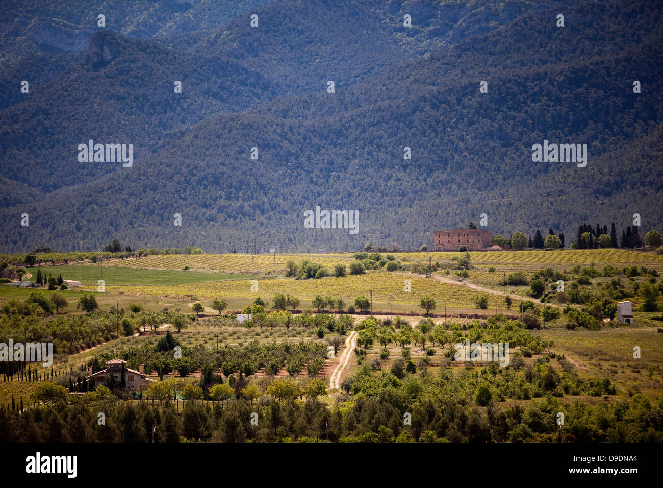 Priorat hi-res stock photography and images - Alamy