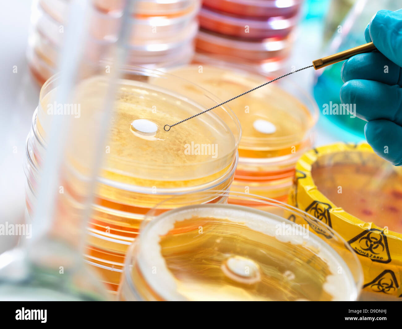 Bacteria are tested hi-res stock photography and images - Alamy
