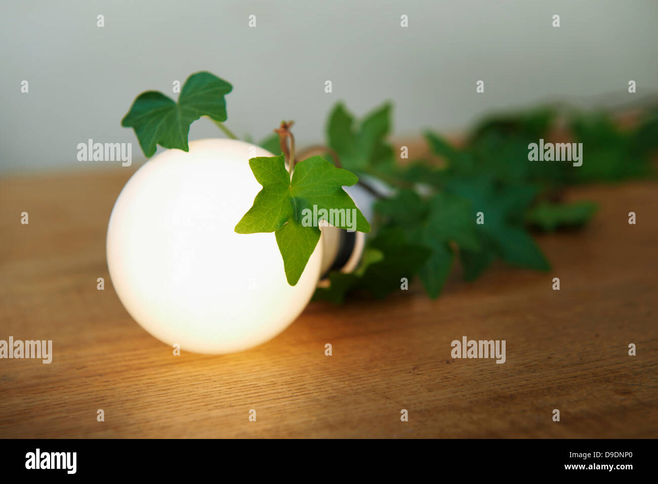 Power in ature hi-res stock photography and images - Alamy