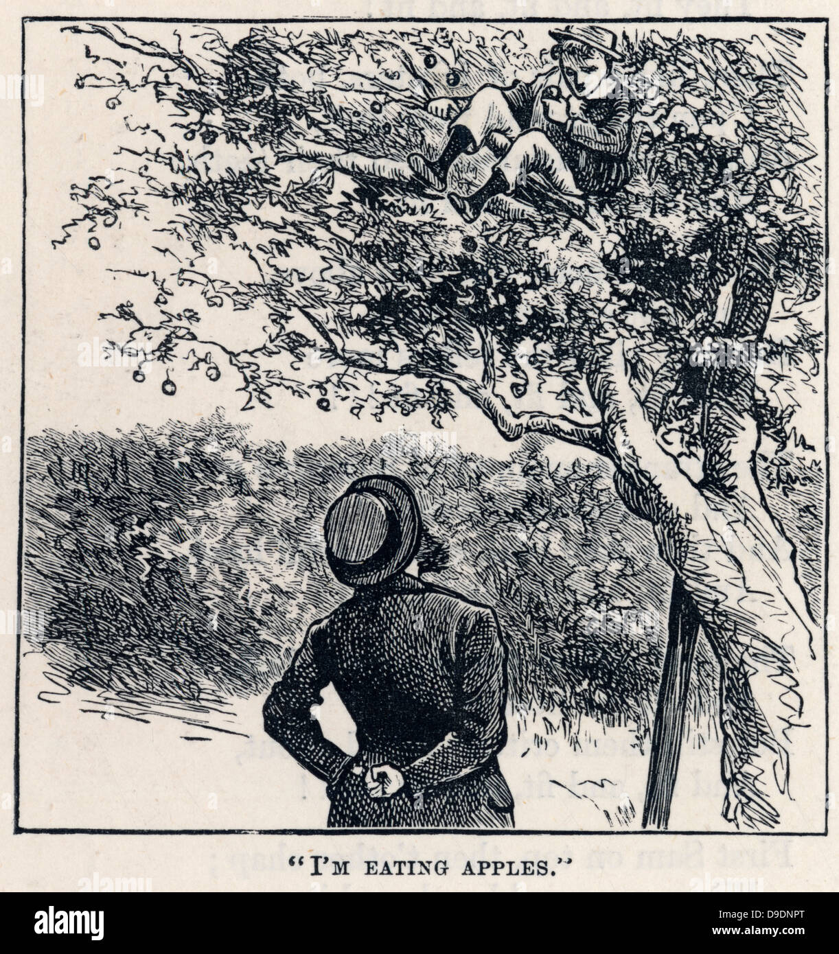 Jack Easy caught scrumping apples. Illustration for ''Mr Midshipman ...