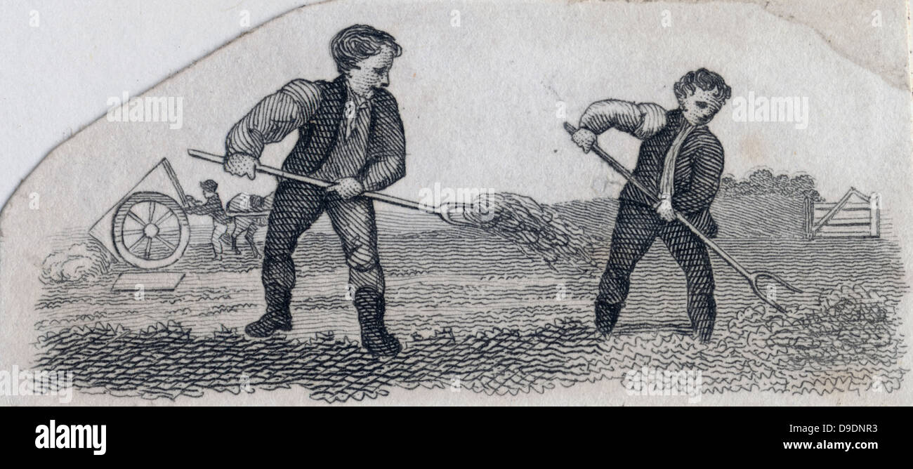 Spreading Manure. Engraving 1825 Stock Photo - Alamy