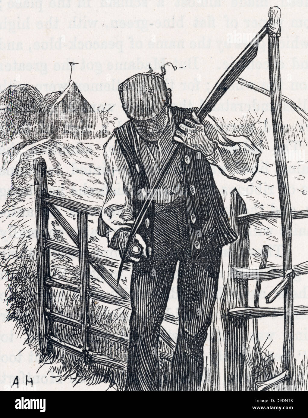 Haymaker sharpening his scythe. Engraving, 1875 Stock Photo - Alamy