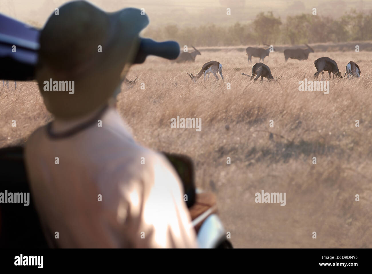 Young man watching wildlife through binoculars, Stellenbosch, South ...