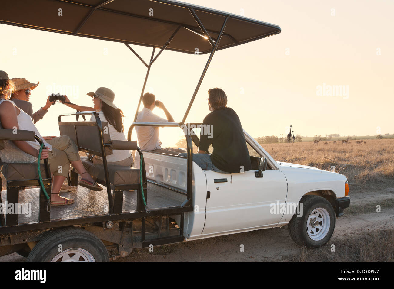 People on safari in off road vehicle, Stellenbosch, South Africa Stock ...