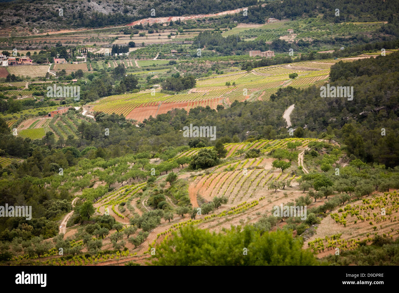 Tarragona priorat hi-res stock photography and images - Alamy