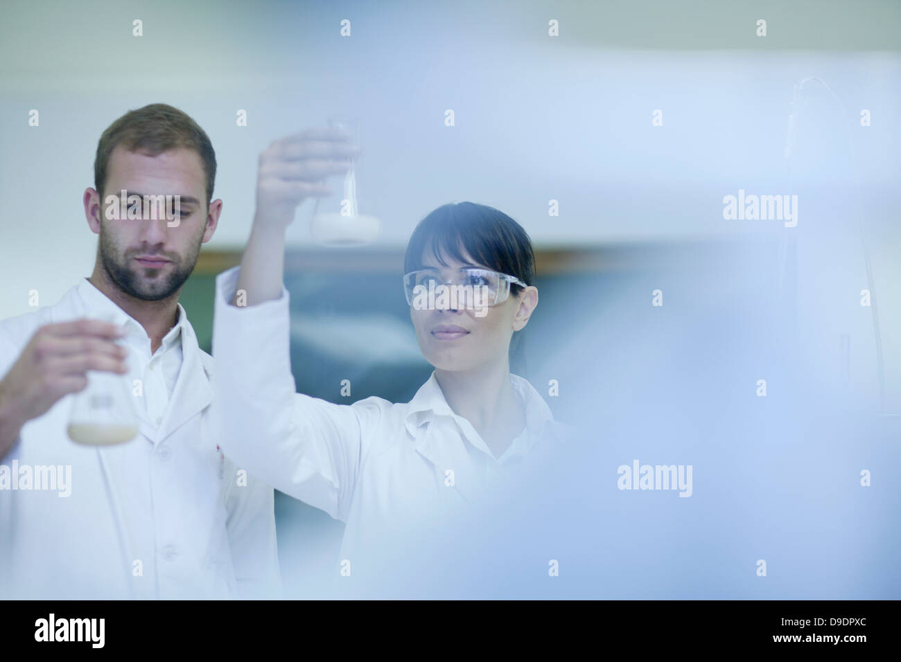 Laboratory technicians checking contents in laboratory beakers Stock ...