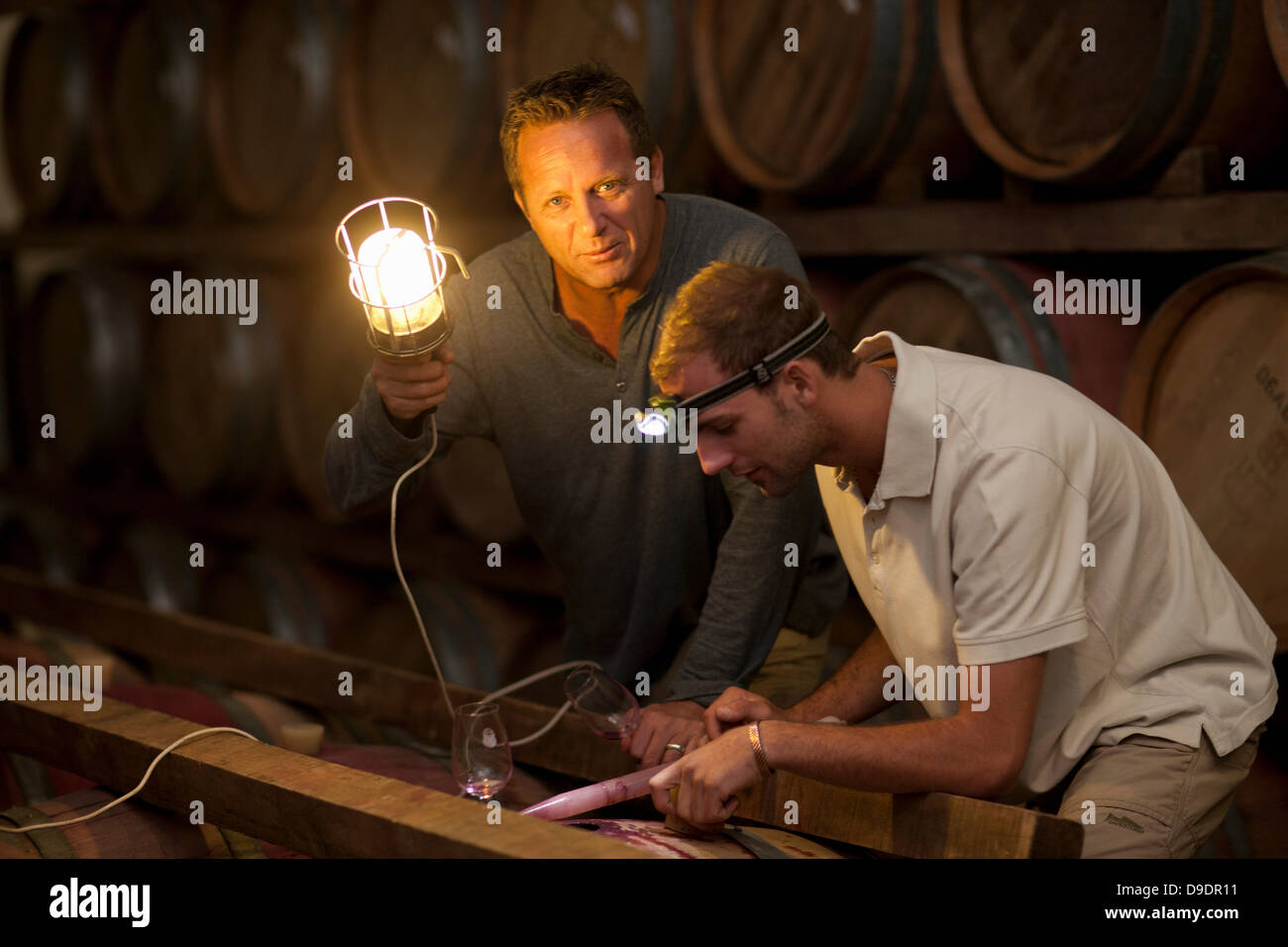 Checking wine aging in barrels Stock Photo - Alamy