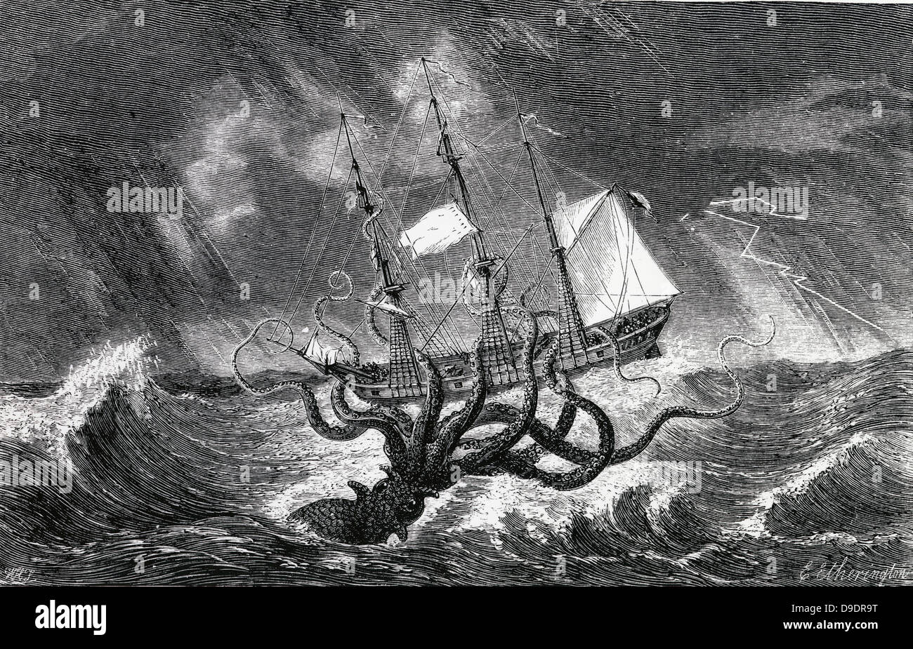 Real Life Kraken