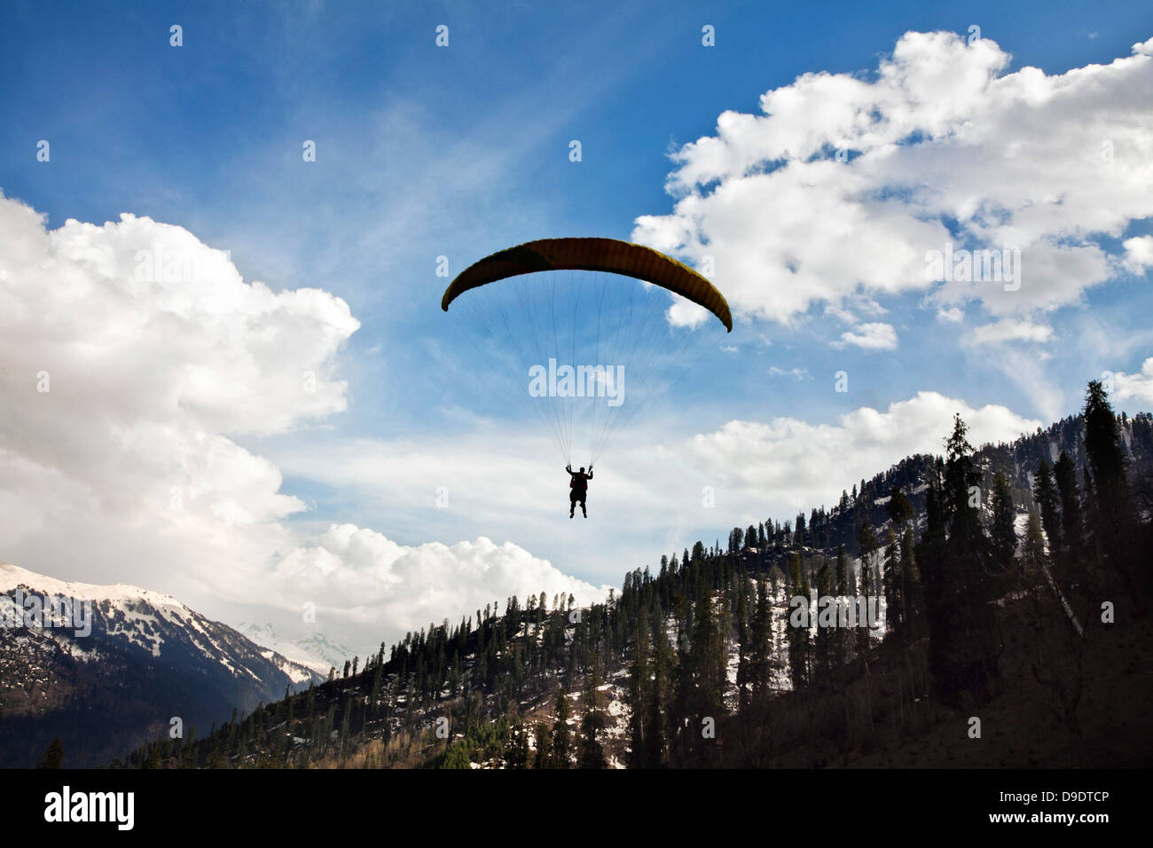 Paragliding in the sky, Manali, Himachal Pradesh, India Stock Photo - Alamy