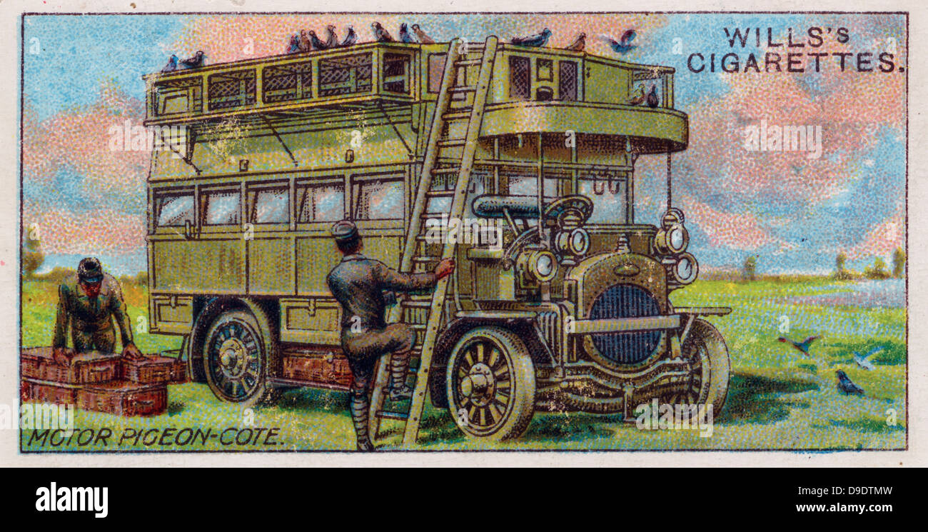 French motor pigeon cote hi-res stock photography and images - Alamy