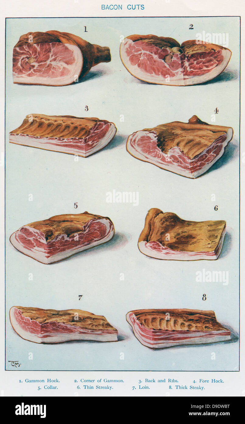 Various cutrs of bacon. Illustration, 1905 Stock Photo - Alamy