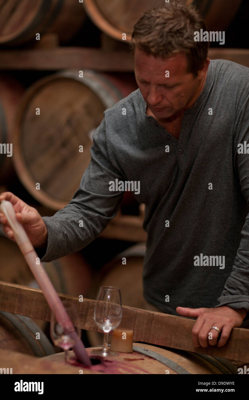 Sampling wine in barrels Stock Photo - Alamy