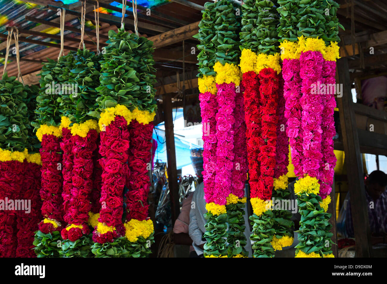 Flowers of tamil nadu hi-res stock photography and images - Alamy