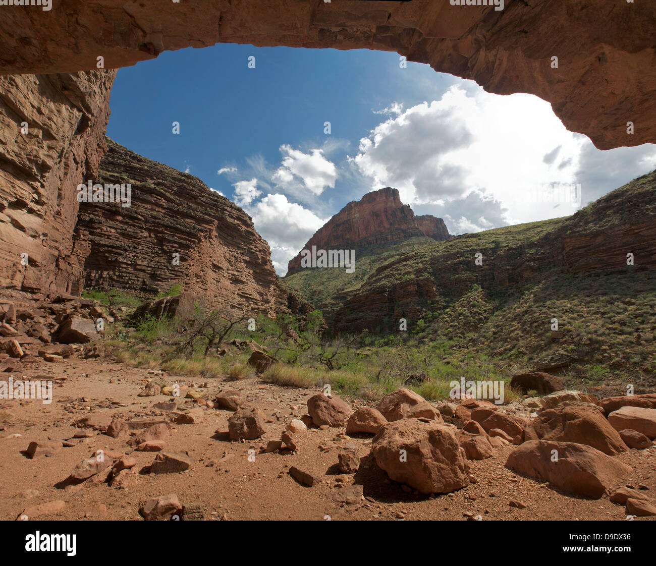 Arched rock, Grand Canyon, Arizona, USA Stock Photo - Alamy