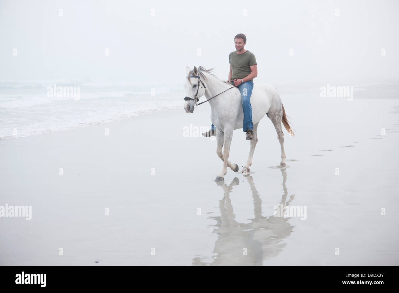 Man riding horse hi-res stock photography and images - Alamy
