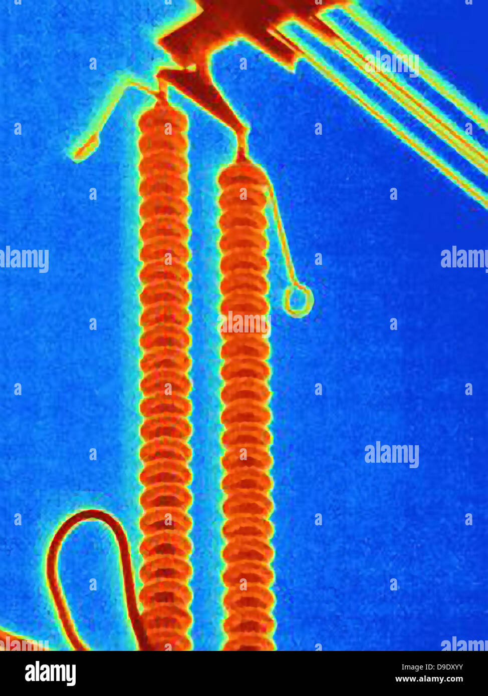 Thermal image of electrical filament Stock Photo - Alamy