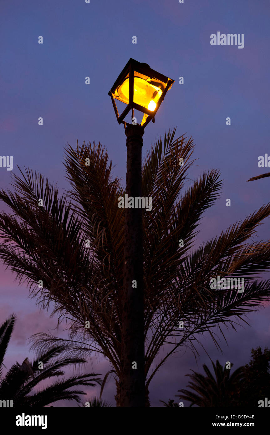 Sunset with lamp and palm tree Stock Photo - Alamy