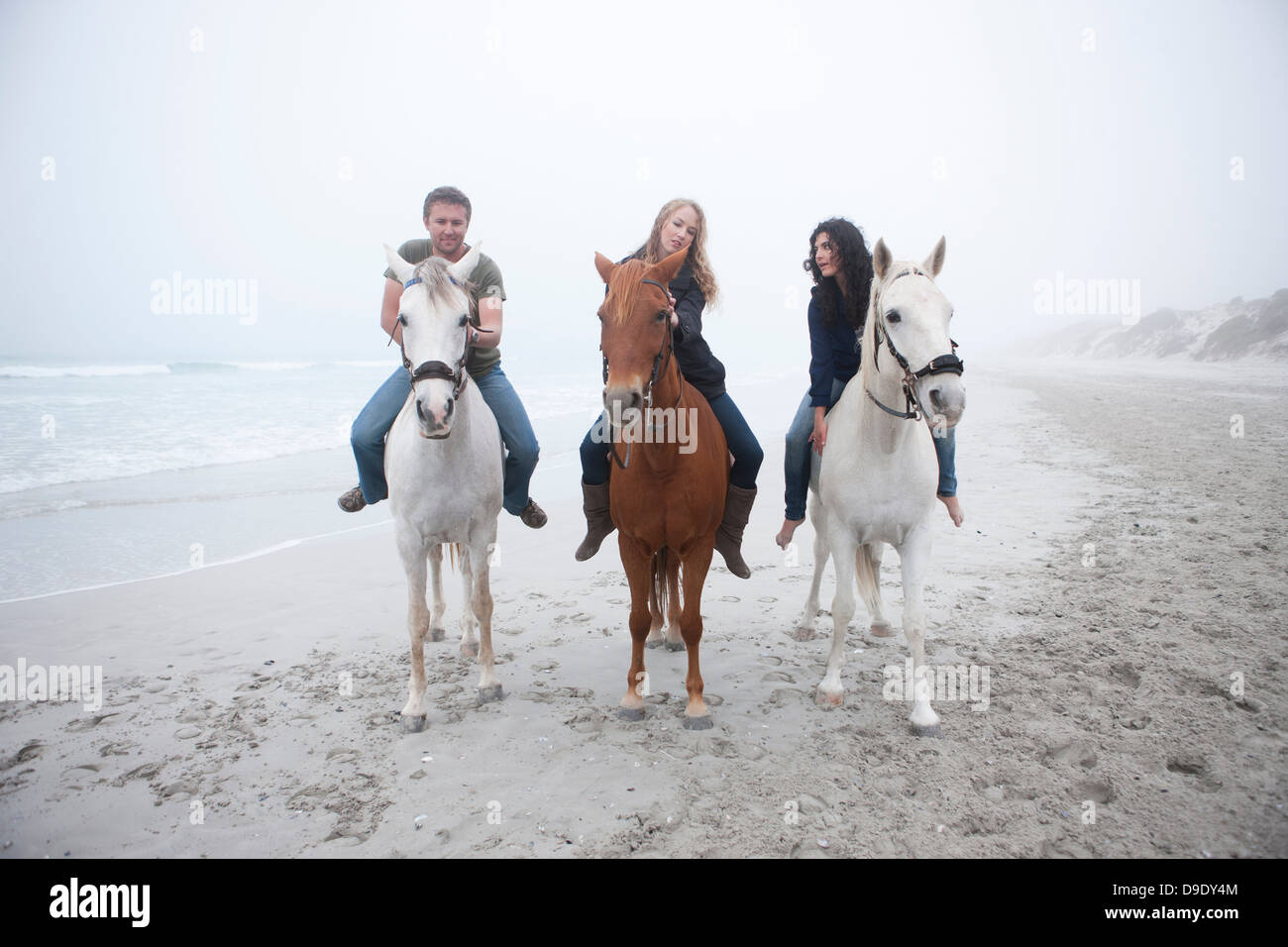 People riding horse on beach Stock Photo - Alamy